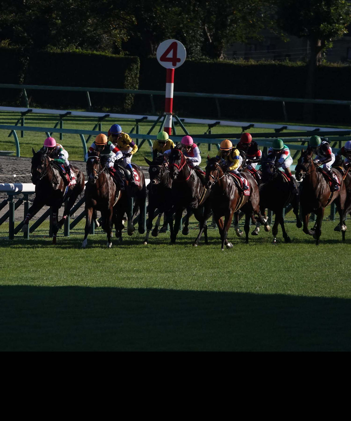 UMAPS 重賞攻略ロード｜JRA 2022年度カレンダー