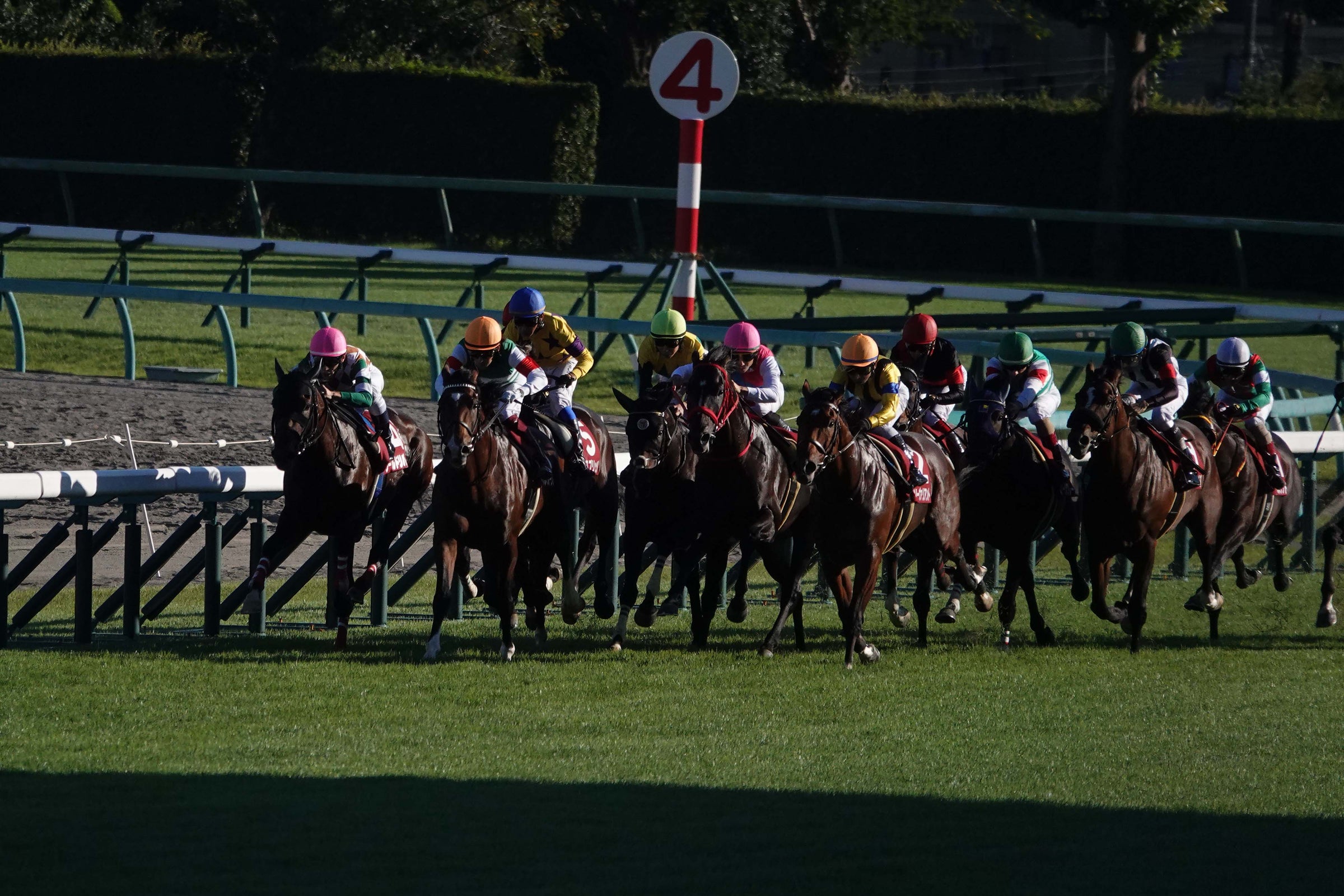 UMAPS 重賞攻略ロード｜JRA 2022年度カレンダー