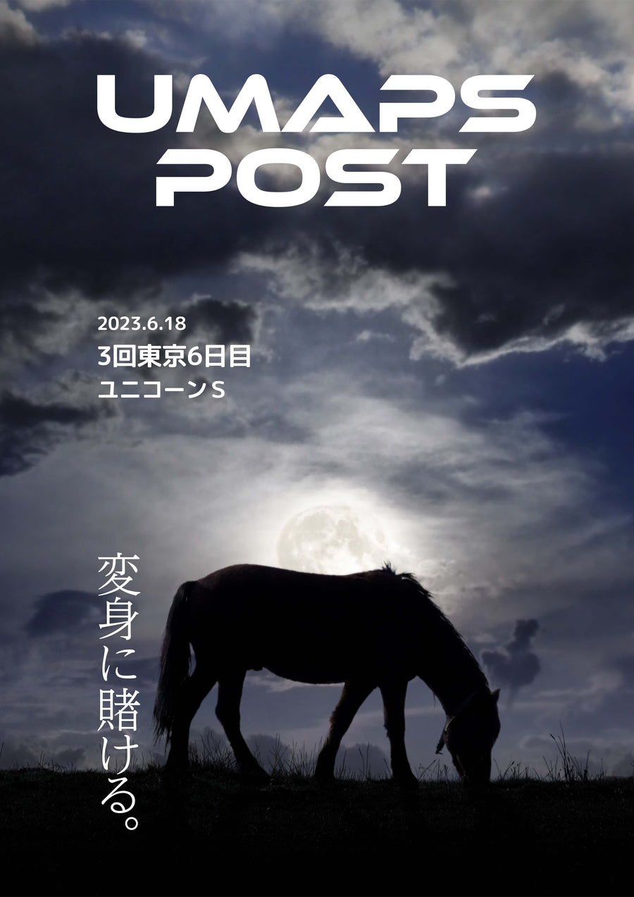 今週のレース分析｜UMAPS会員向けページ（2）