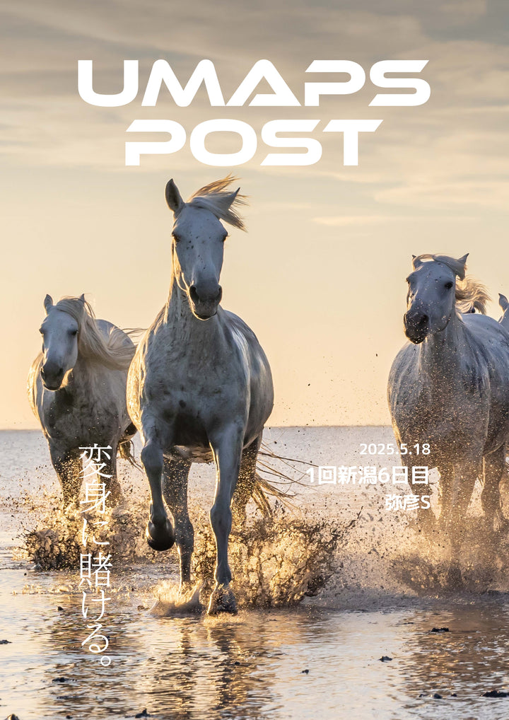 今週のハブコン｜JRA全場指数・推奨馬・重賞予想－UMAPS